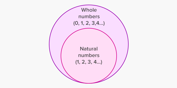 Whole Numbers Examples